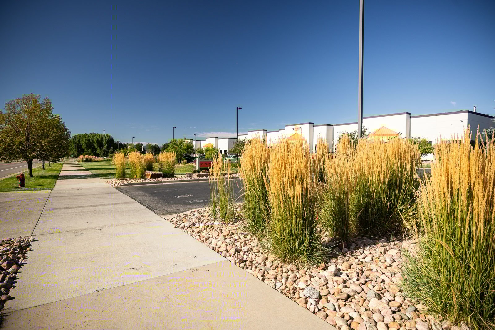 Building the Right Irrigation System for Your Commercial Landscape