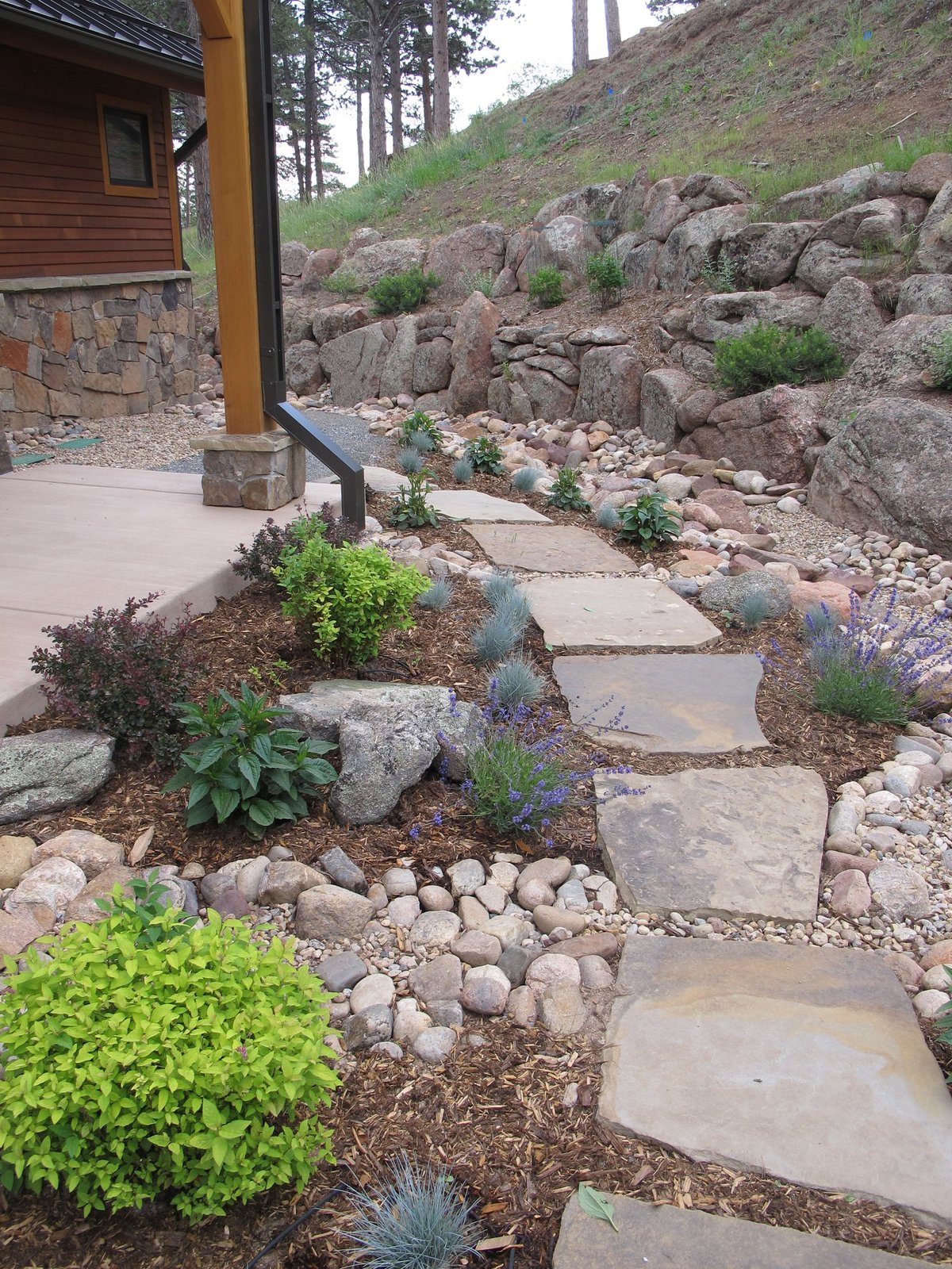 LID Landscapes Designs Effective and Creative Drainage Systems